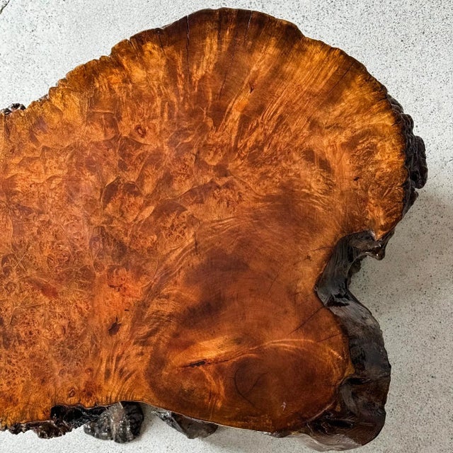Mid-Century Burl Wood Live Edge Table | Chairish