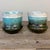 Pair 19th Century French Faience Barbotine Jardinieres ~ Cachet Pots ...