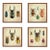 Beetles and Insects Still Life Prints - Set of 4 | Chairish