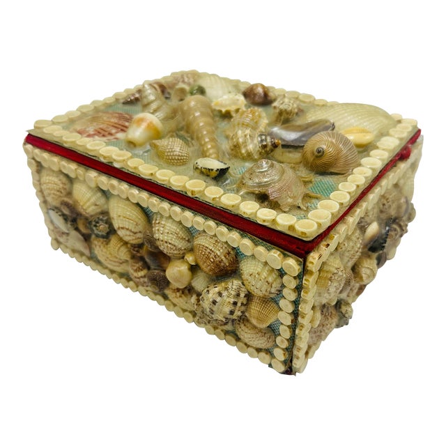 Vintage Shell Box | Chairish
