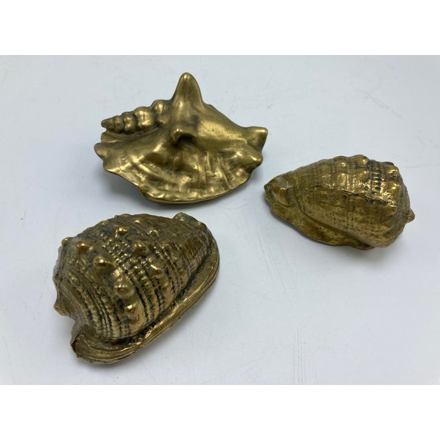Vintage Brass Shells- Set of 3 | Chairish