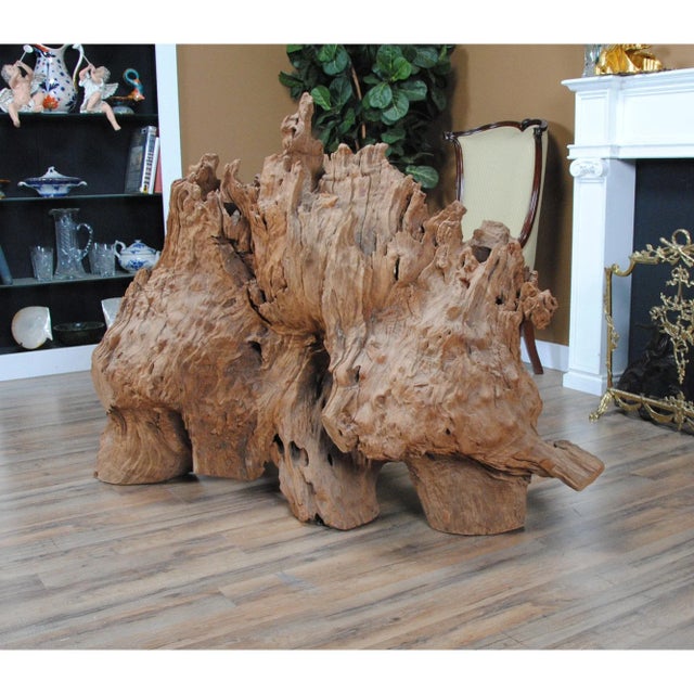 Vintage Live Edge Tree Root Sculpture | Chairish
