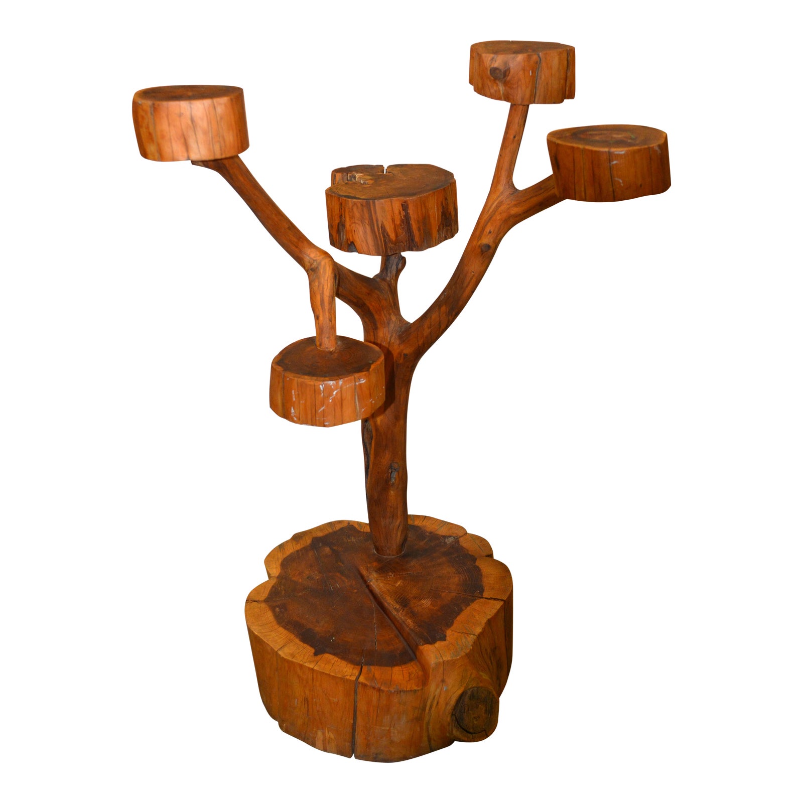 1960s Folk Art Rustic Hand Crafted Wooden Tree / Log Plant Stand With 5 ...