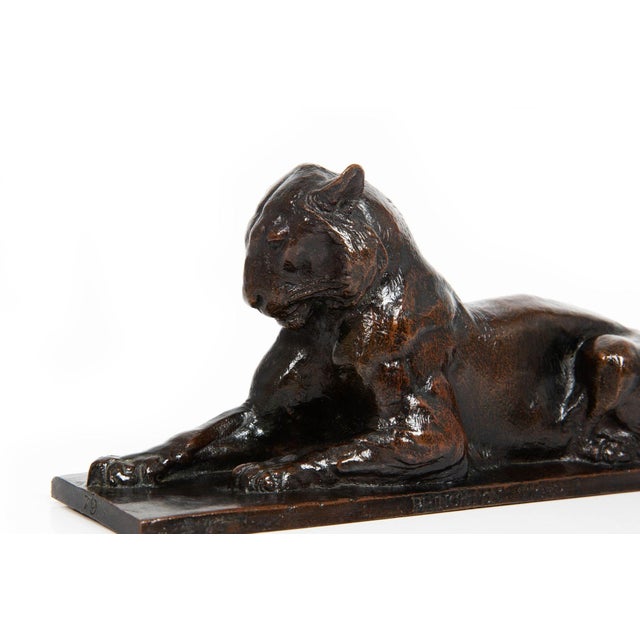Rare American Sculpture of “Princeton Tiger” by Alexander Phimister ...