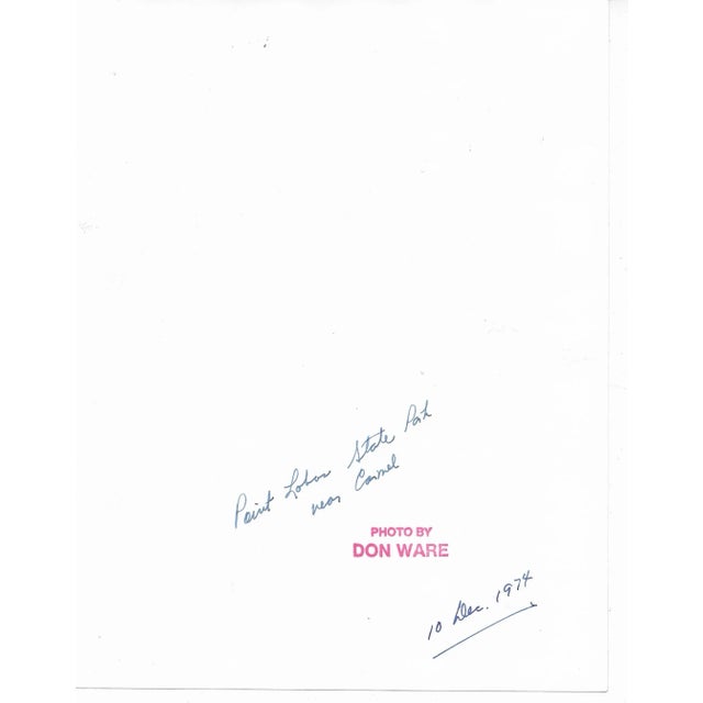 1974 Point Lobos California Coast Photograph by Don Ware | Chairish