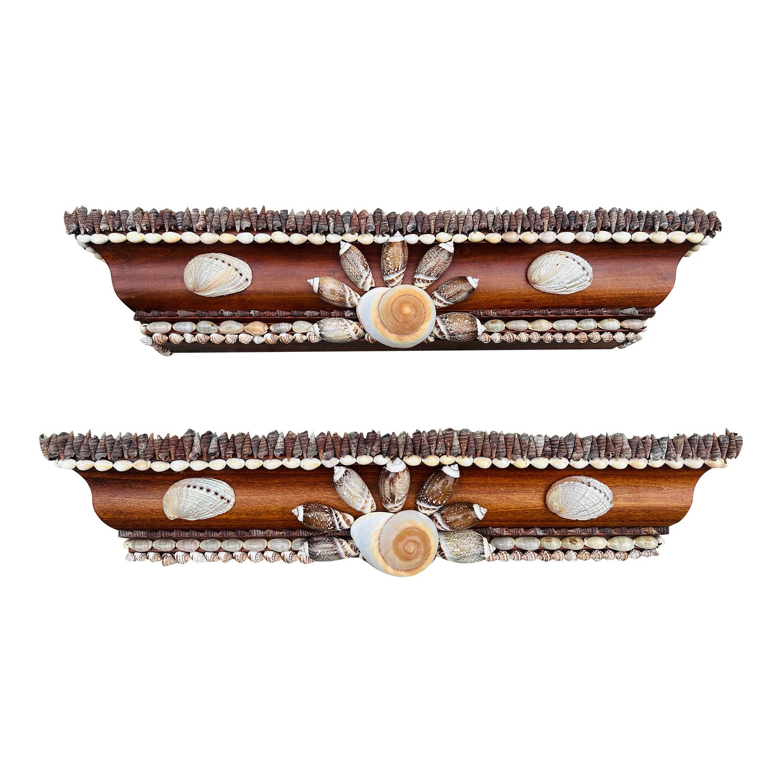 Shell Wall Shelves | Chairish