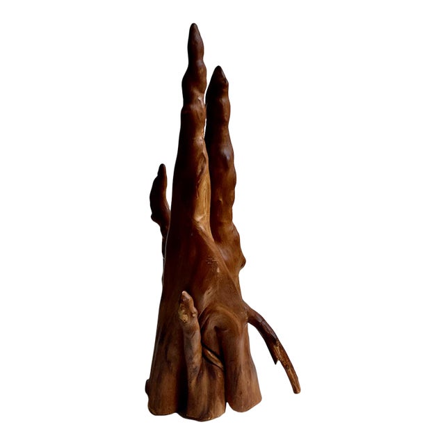 Mid 20th Century Cypress Knee Root Sculpture | Chairish