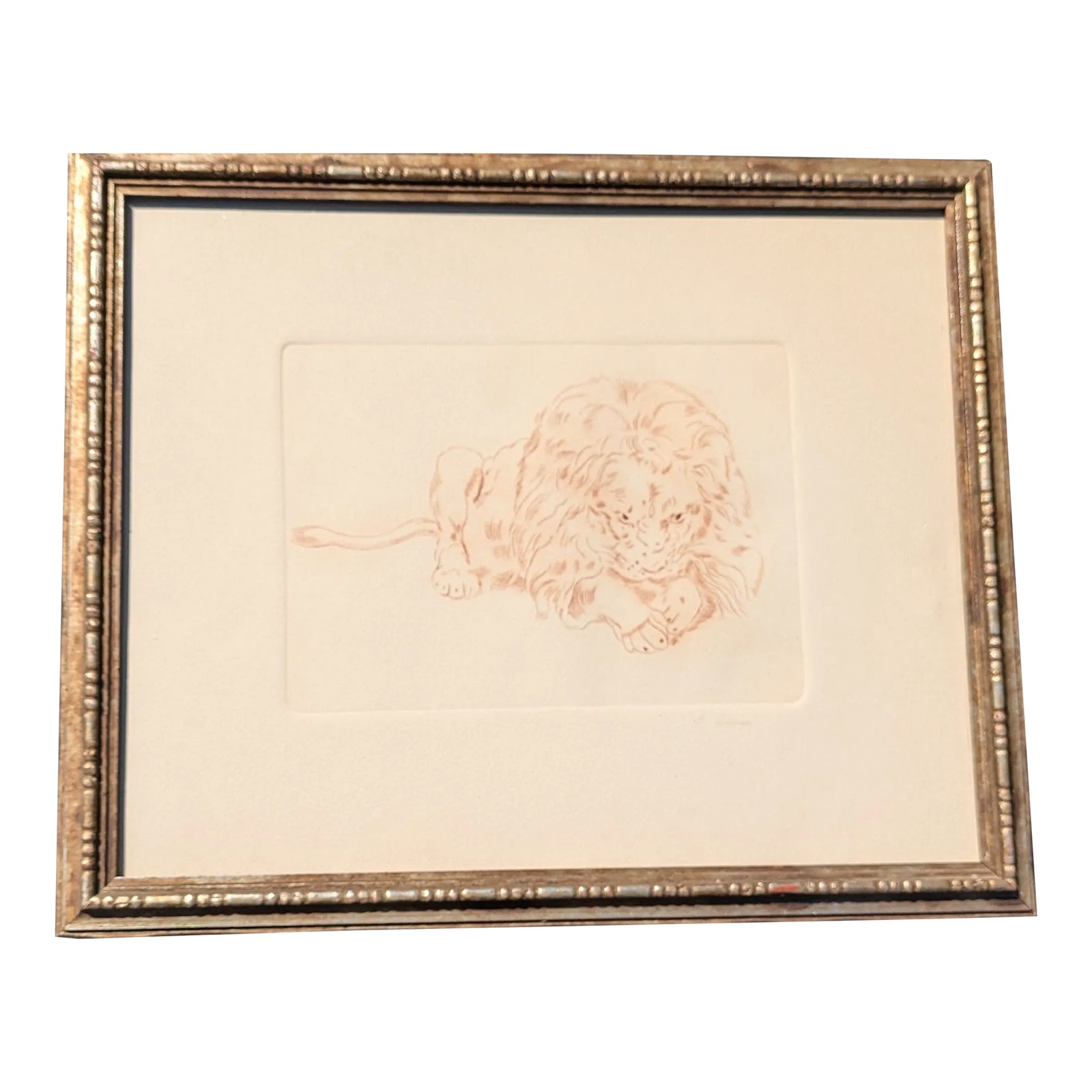 Guillermo Zuniga Etching of a Lion | Chairish