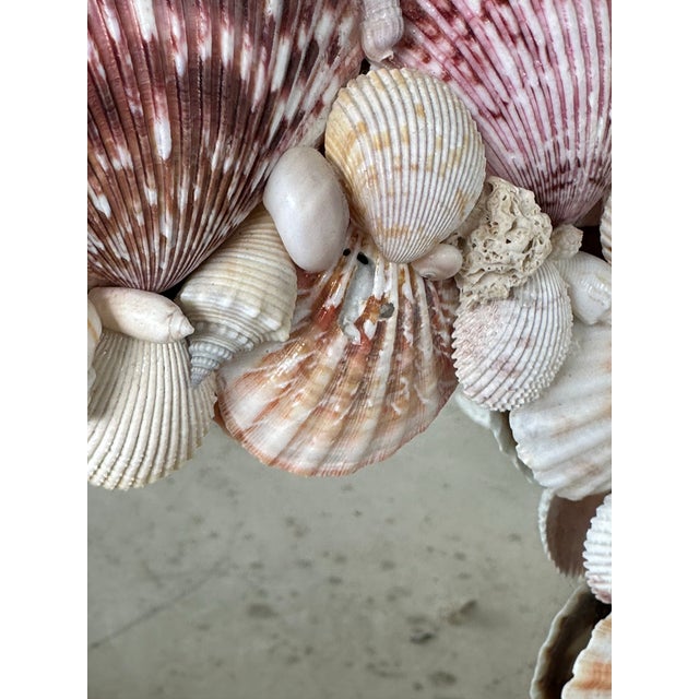 Coastal Handmade Pink Scallop Seashell Wall Mirror | Chairish