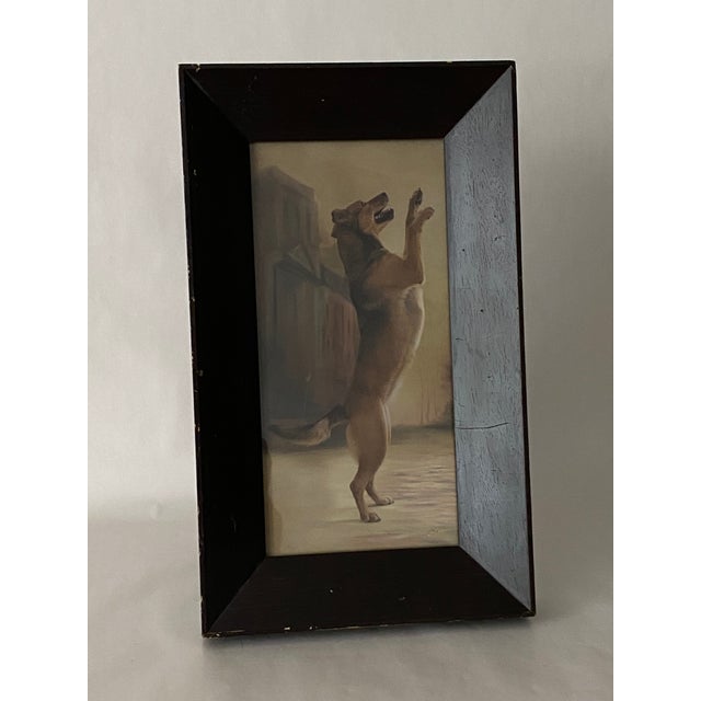 German Shepherd Portrait Photographs in Frames Signed Hayes - a Pair ...
