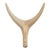 Medium Nguni Head Black Iroko, Animal Head Wall Sculpture, Grey | Chairish