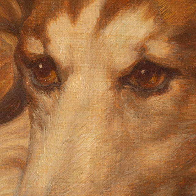 Original Oil on Canvas Painting of Two Collies by g.a. Clemens, Signed ...