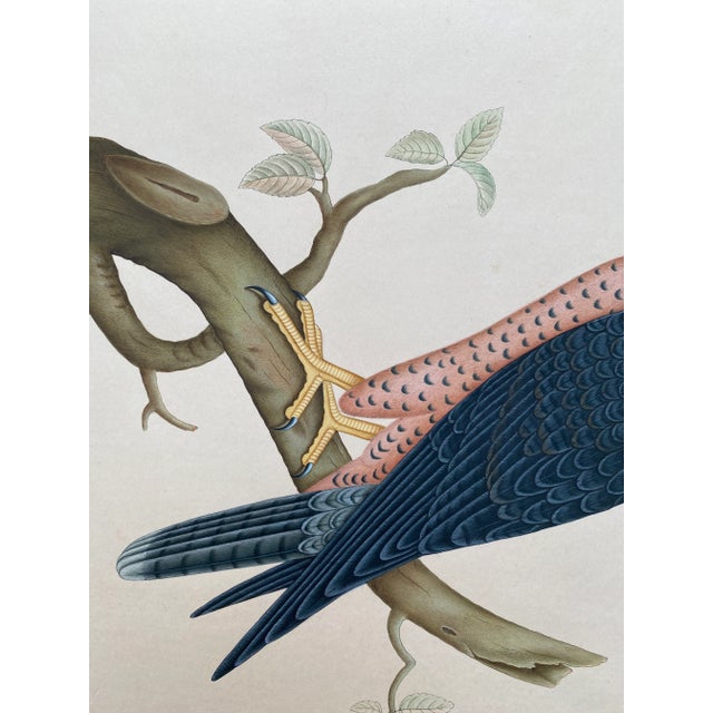 Folcon Miniature Painting on Paper , Original Hawk Artwork | Chairish