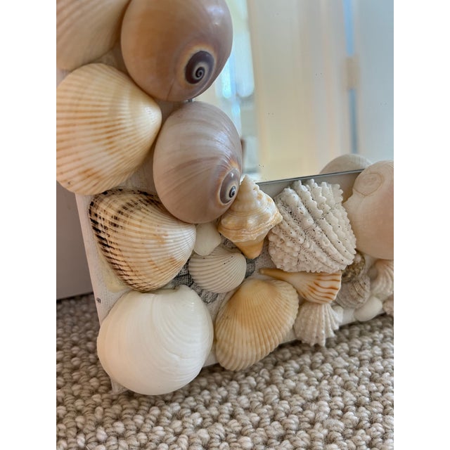 Sea Shell Encrusted Mirror | Chairish
