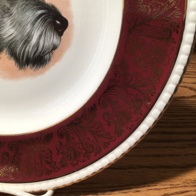 Vintage Solian Ware Simpson's Potters Ltd Cobridge England Schnauzer ...