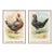 Farmhouse Hen Print Set - 24" X 36" Set of Two | Chairish
