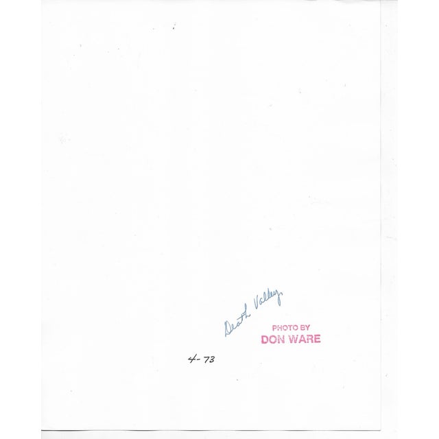 1973 Death Valley Photograph by Don Ware | Chairish