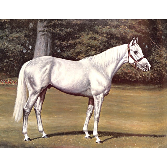 "Decade of Champions: The Greatest Years in the History of Thoroughbred ...