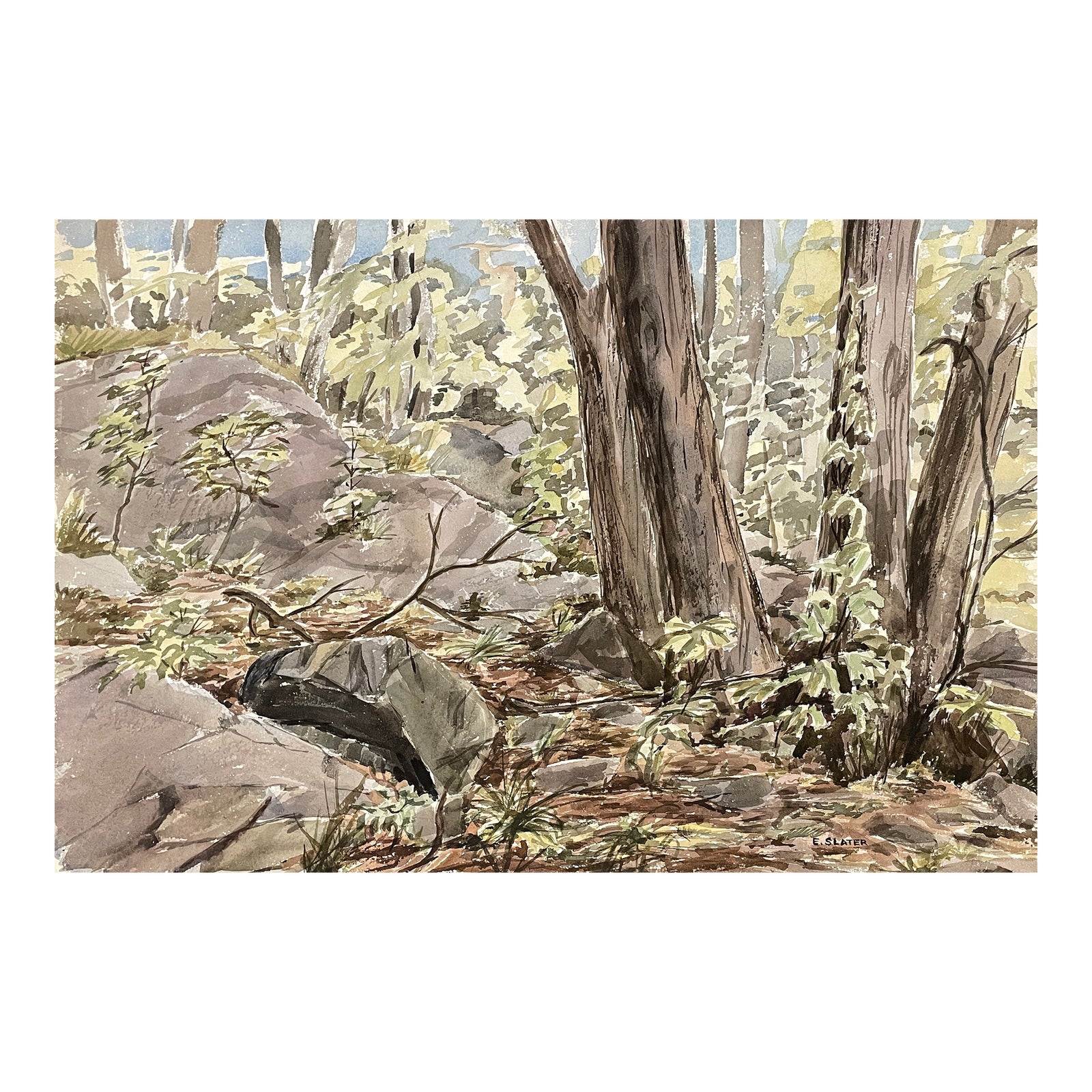 1950s Elizabeth Slater Forest Landscape Watercolor | Chairish