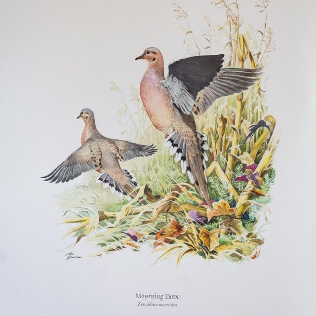 Pen & Ink Art & Collectibles Drawing & Illustration Bird home decor 4x6 ...