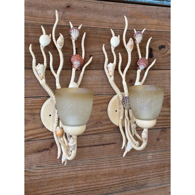 Coastal Metal Coral Sea Shell Wall Hardwired Wall Light Sconces-Pair ...