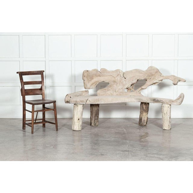 Large English Bleached Teak Root Bench | Chairish