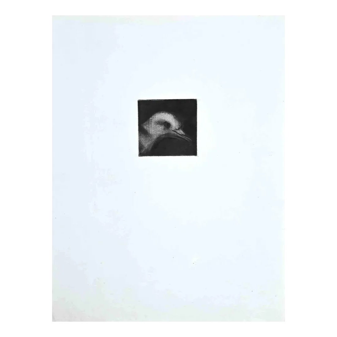 Giselle Hallf, The Bird, Mid-20th Century, Etching | Chairish