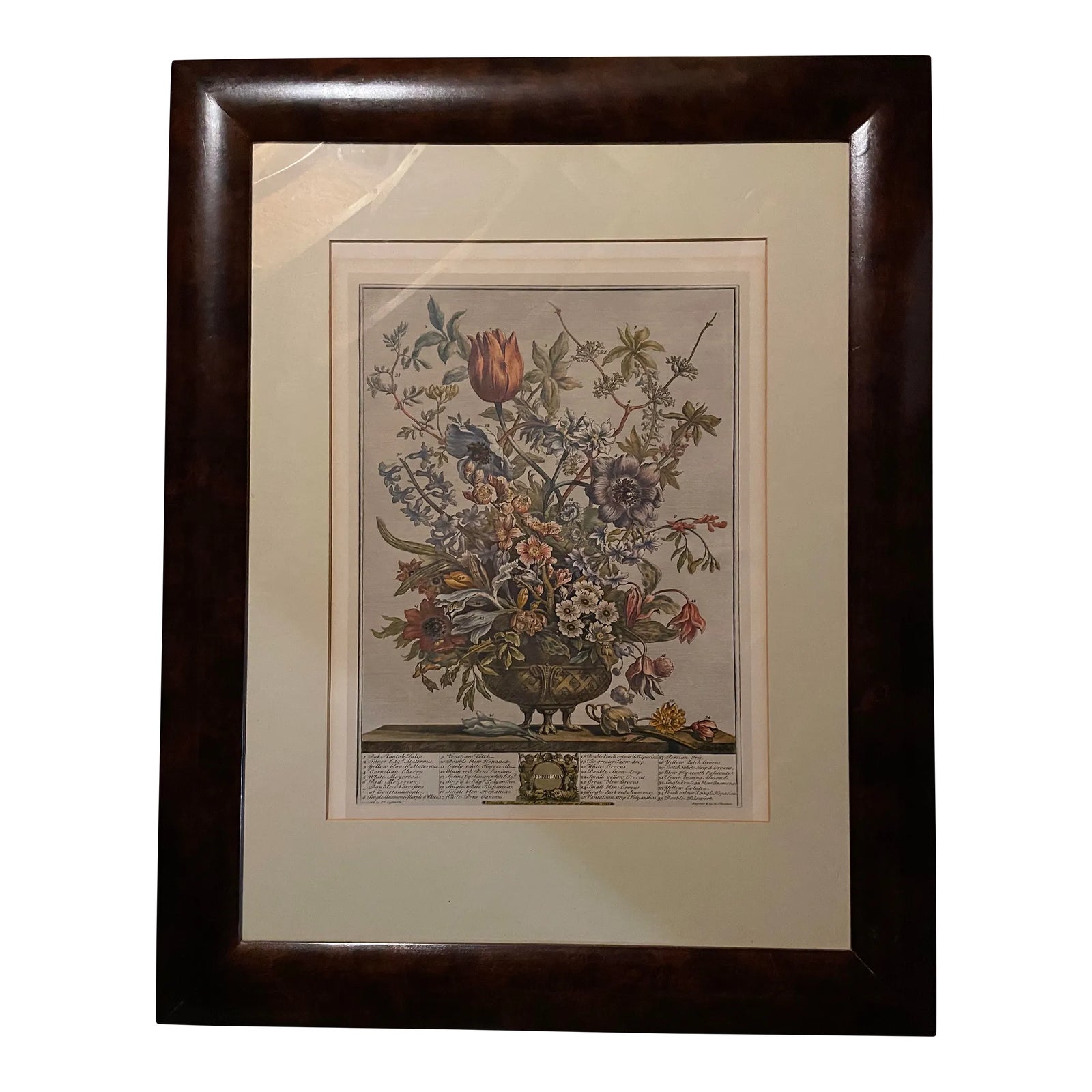 Robert Furber Hand Colored Etching | Chairish