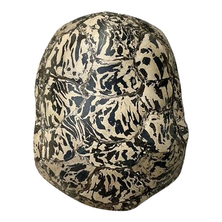 Vintage Boho Artisanal Pigmented Plaster Turtle Shell | Chairish