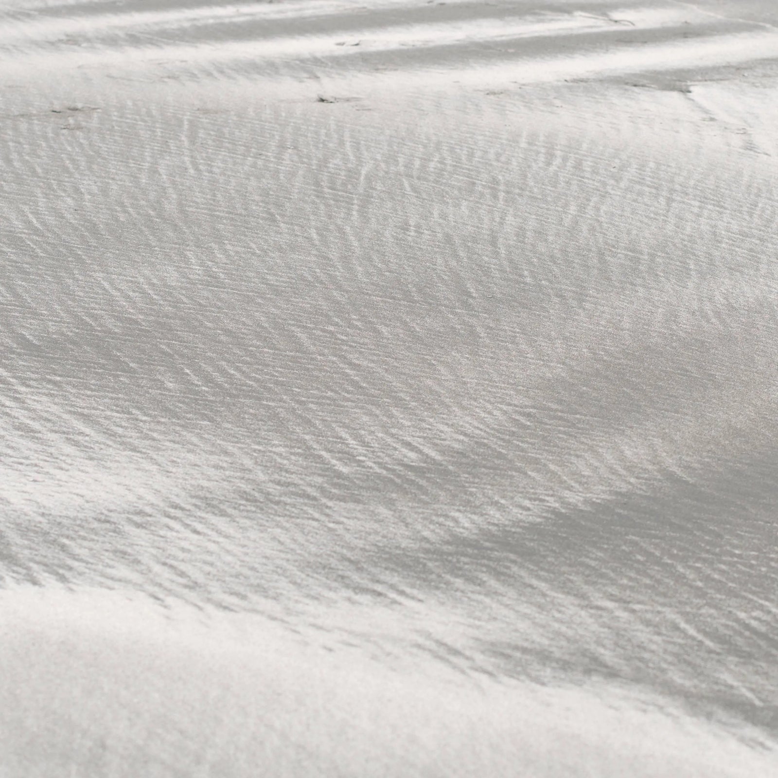 Gaétan Caron "Texture 10: Shell Dust", Mendocino, Ca Photograph, 2015 ...