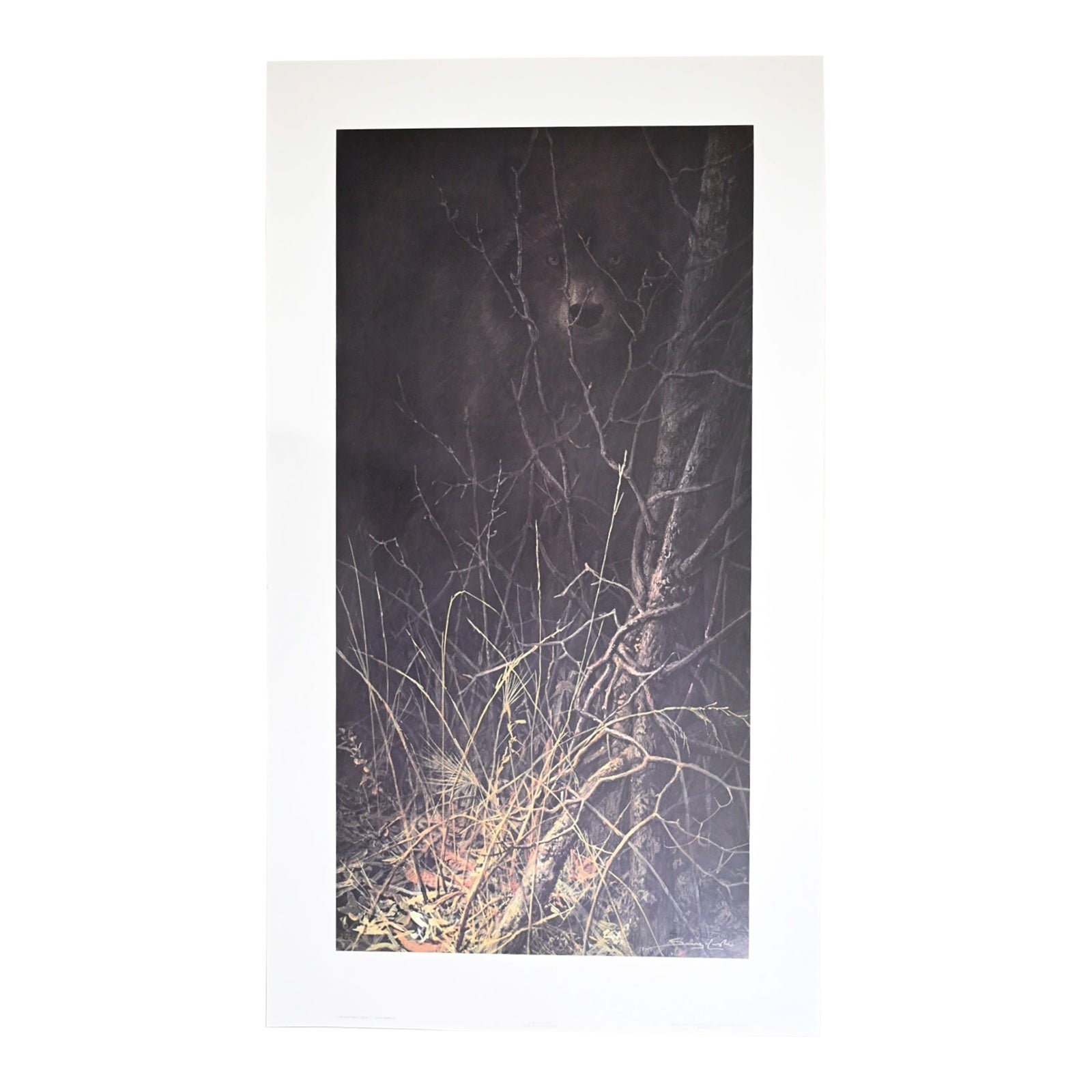 John Seerey-Lester “Dark Encounter” Limited Edition Signed & Numbered Print 2761/3500 Coa | Chairish