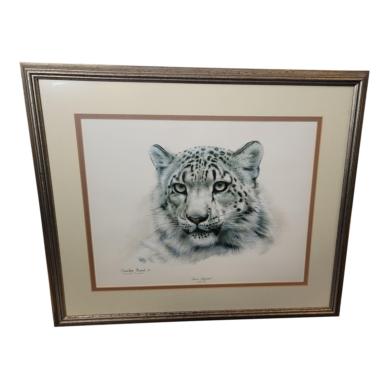 Charles Frace Signed Limited Edition Snow Leopard Framed Museum Glass ...