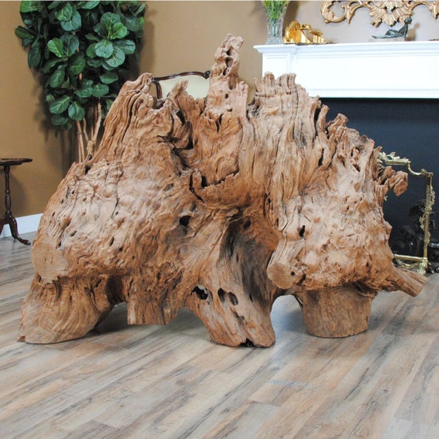 Vintage Live Edge Tree Root Sculpture | Chairish