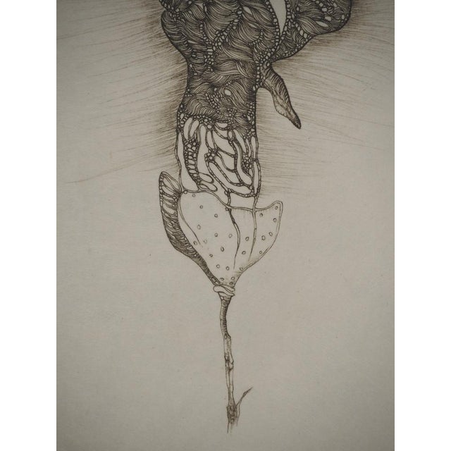 Fred Deux, Something, Original Engraving | Chairish