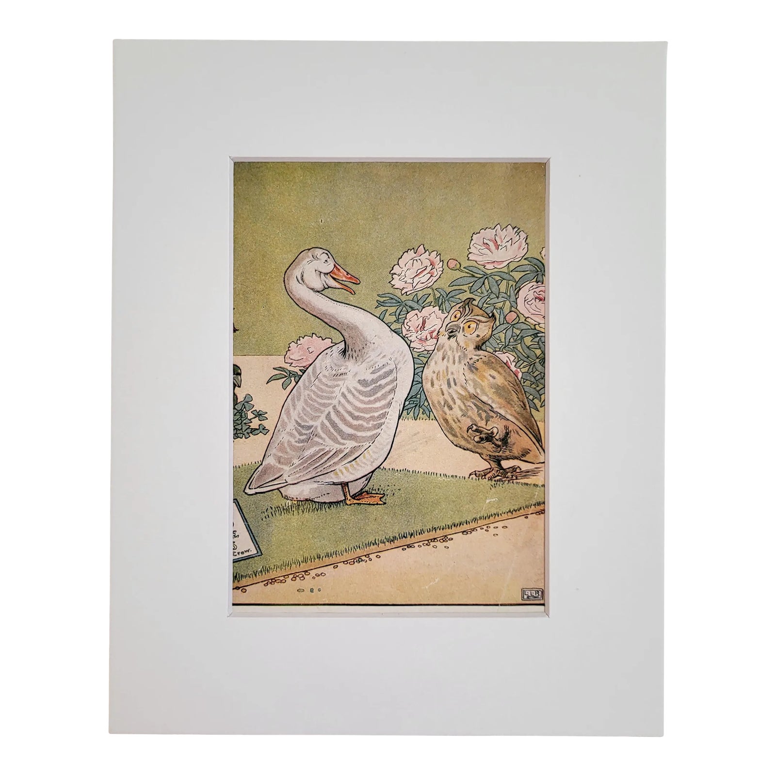 1903 Matted Goose & Owl Children's Art Illustration | Chairish