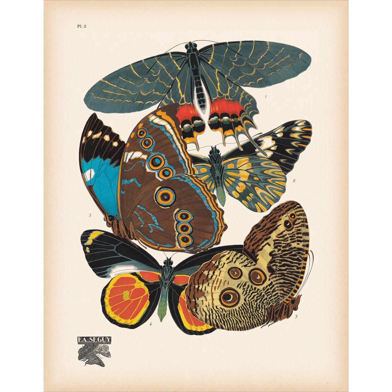 Papillons (Butterflies) Plate 2 Giclee Reproduction Art Print by Emile ...