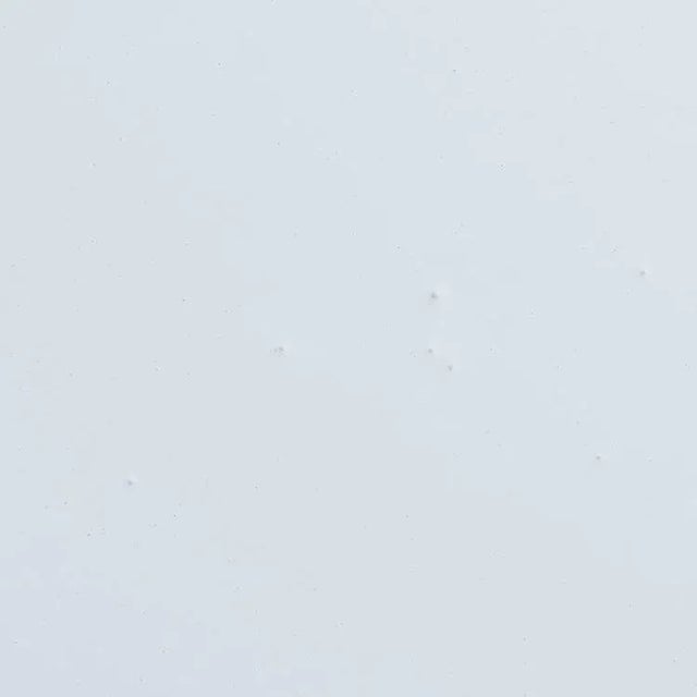 BACKDROP Adhesive Sample Swatch in On Tour (Soft, Pale Blue) | Chairish