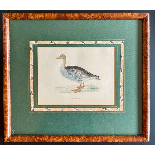 19th C. English Traditional Duck Bookplates -- a Pair | Chairish