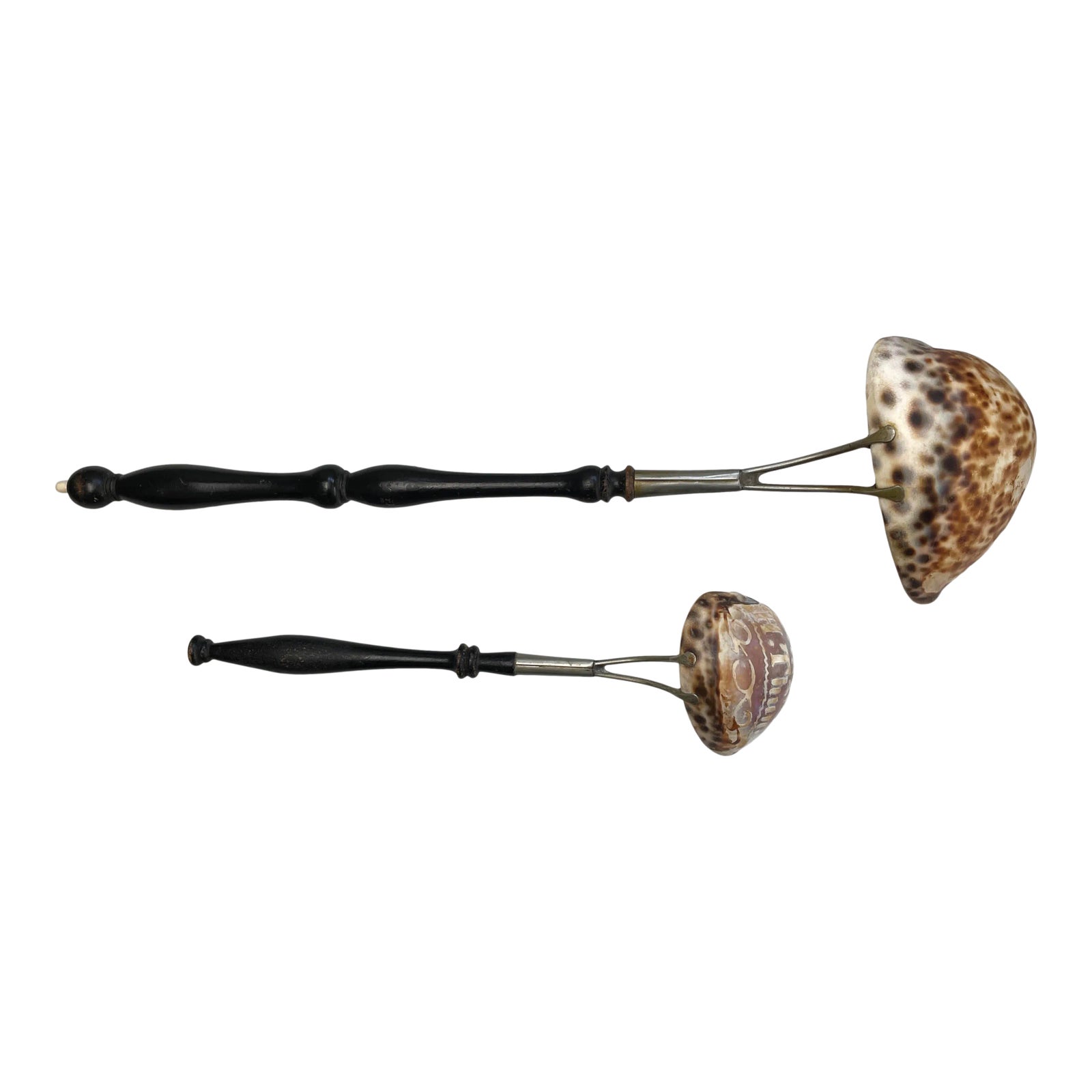 19th Century Hand Carved Cowry Shell Ladle Set - a Pair | Chairish
