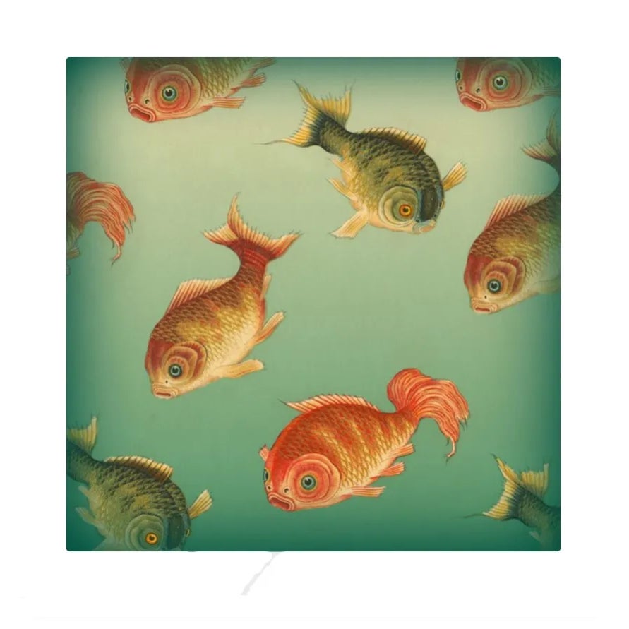 Vintage 'Many Fish' Archival Print | Chairish