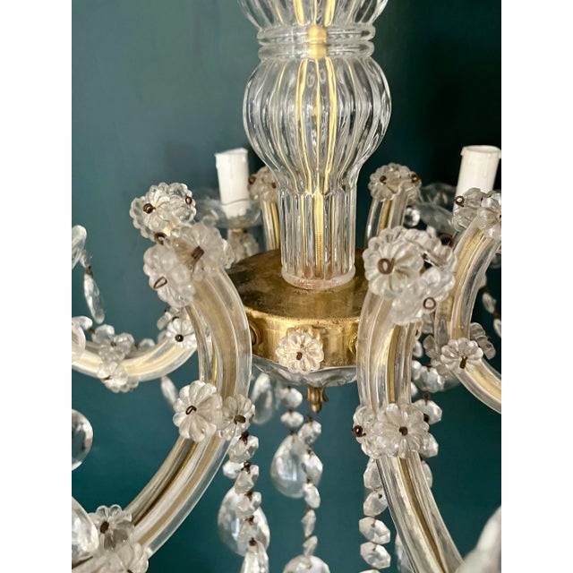 French Marie Therese Cut Crystal 6-Light Chandelier, Circa 1950 | Chairish