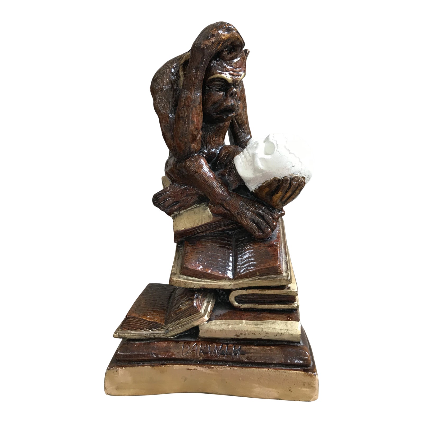 1950s Darwin’s Human Evolution Chalkware Statue | Chairish