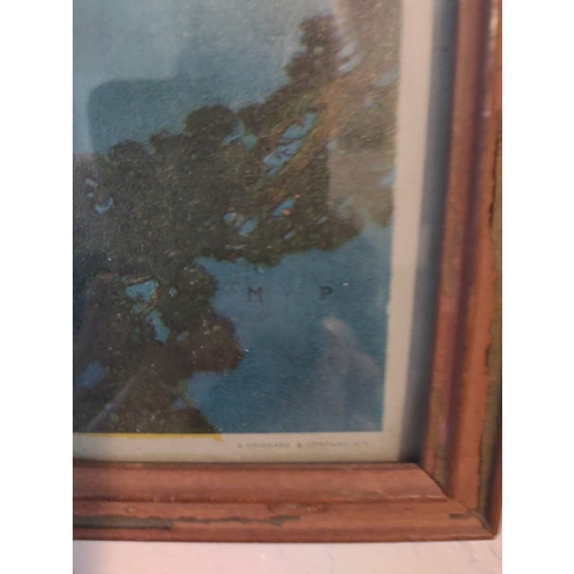 Early 20th Century "Dinky Bird" Art Nouveau Figurative Print After ...