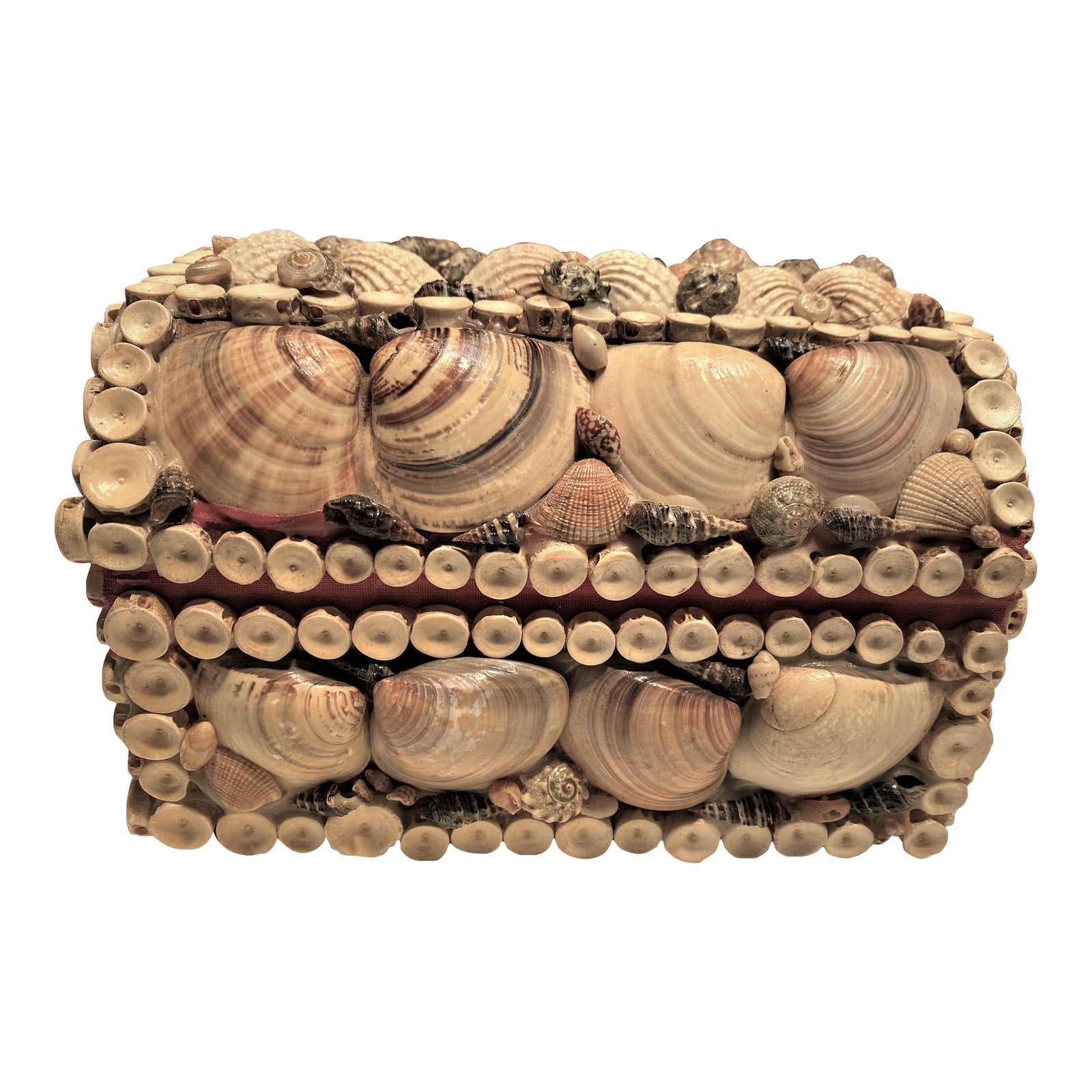 Mid 20th Century Domed Top Shell Encrusted Decorative Box | Chairish