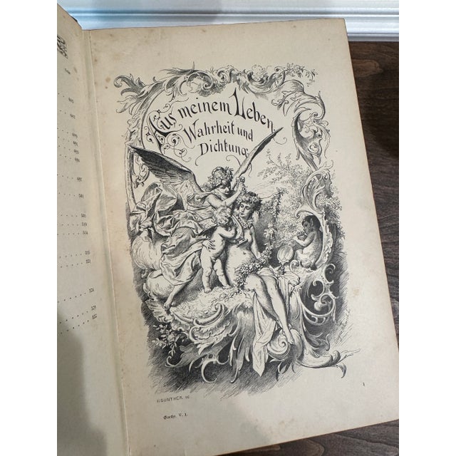 Mid 19th Century Goethe's Werke Complete 5 Vol. Set in German | Chairish