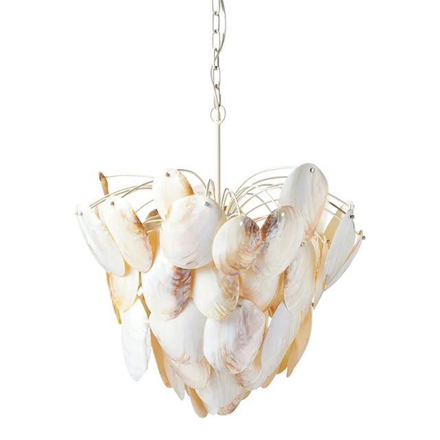 Serena and Lily Kingscliff Coastal Kabibe Shell Chandelier | Chairish