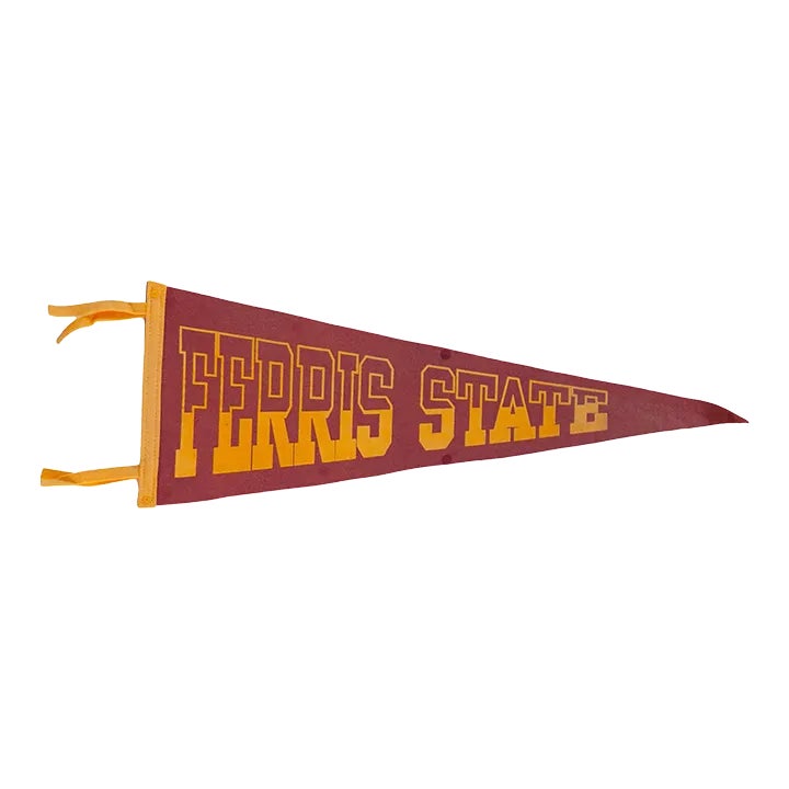 Ferris State Felt Flag Pennant | Chairish