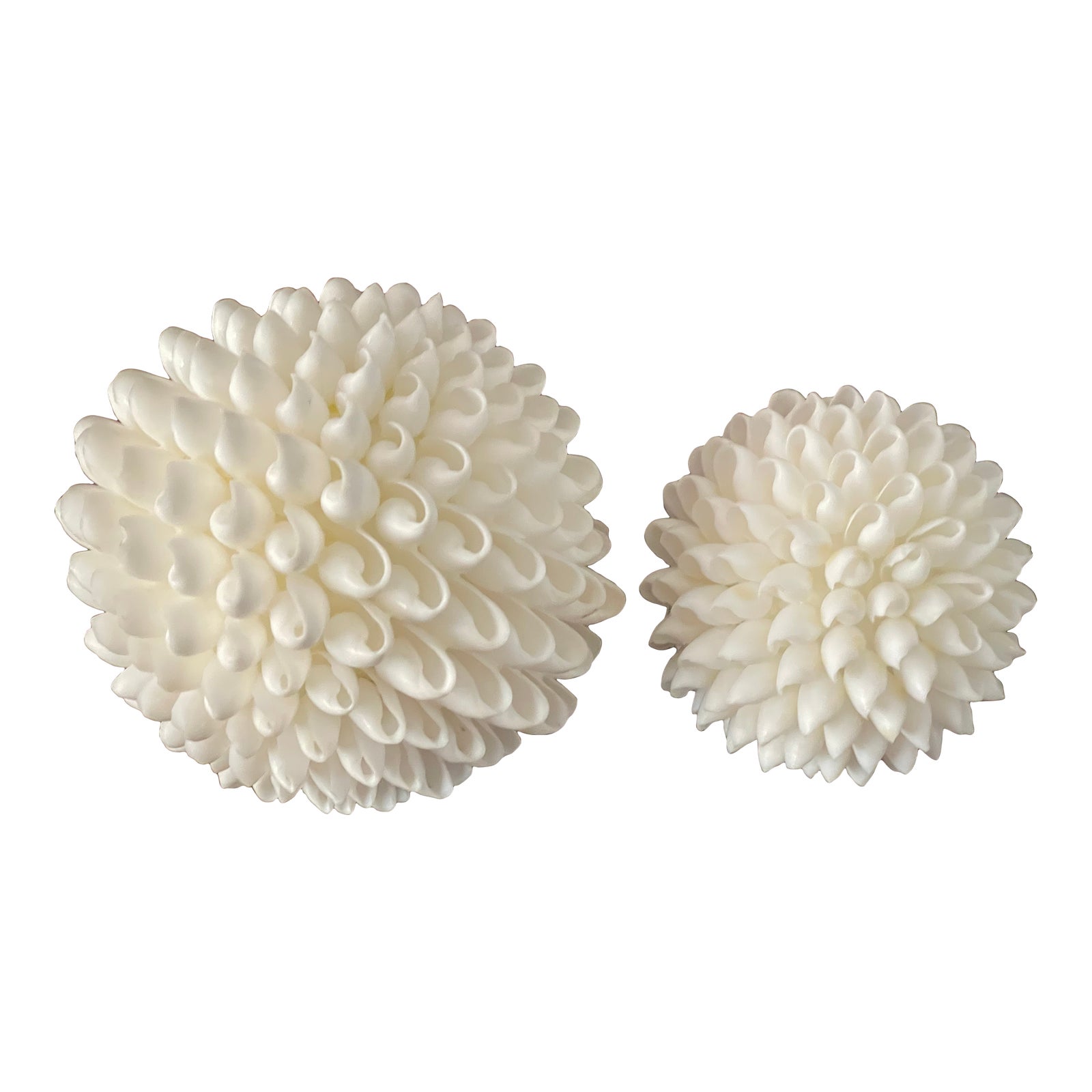 1960s Sea Shell Spheres Balls Coastal Decor- Set of 2 | Chairish