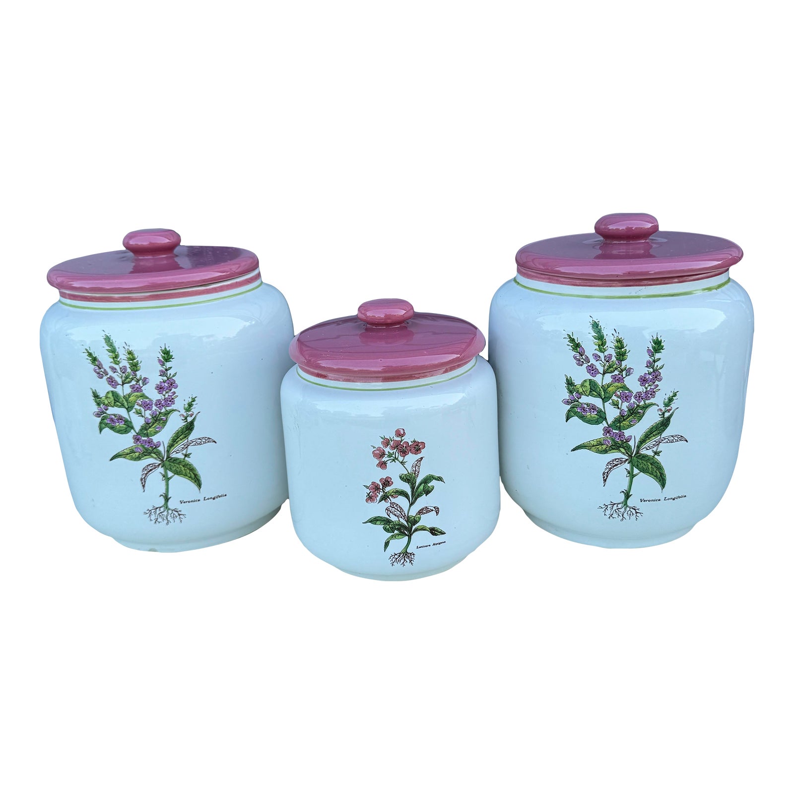 Mid Century Modern Rosenthal Netter Botanical Canisters- Set of 3 ...