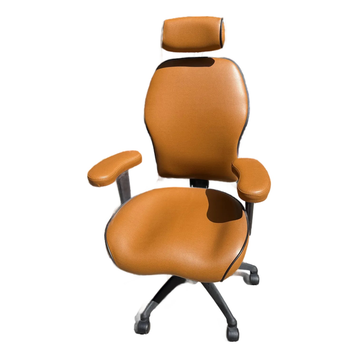 Lifeform Ergonomic Office Chair | Chairish